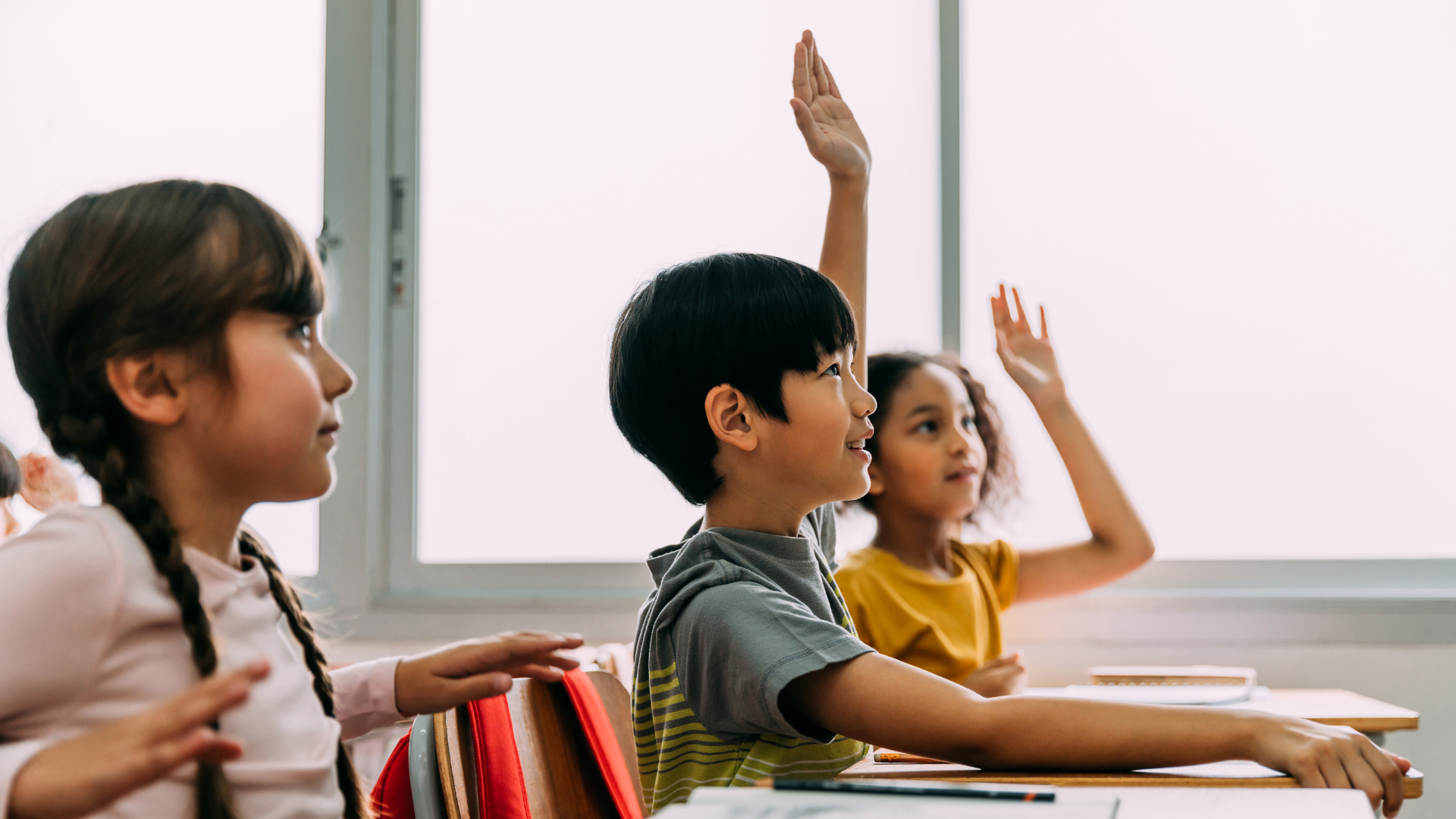Diplomado Interdisciplinario en Derecho de Participación y Derecho a ...