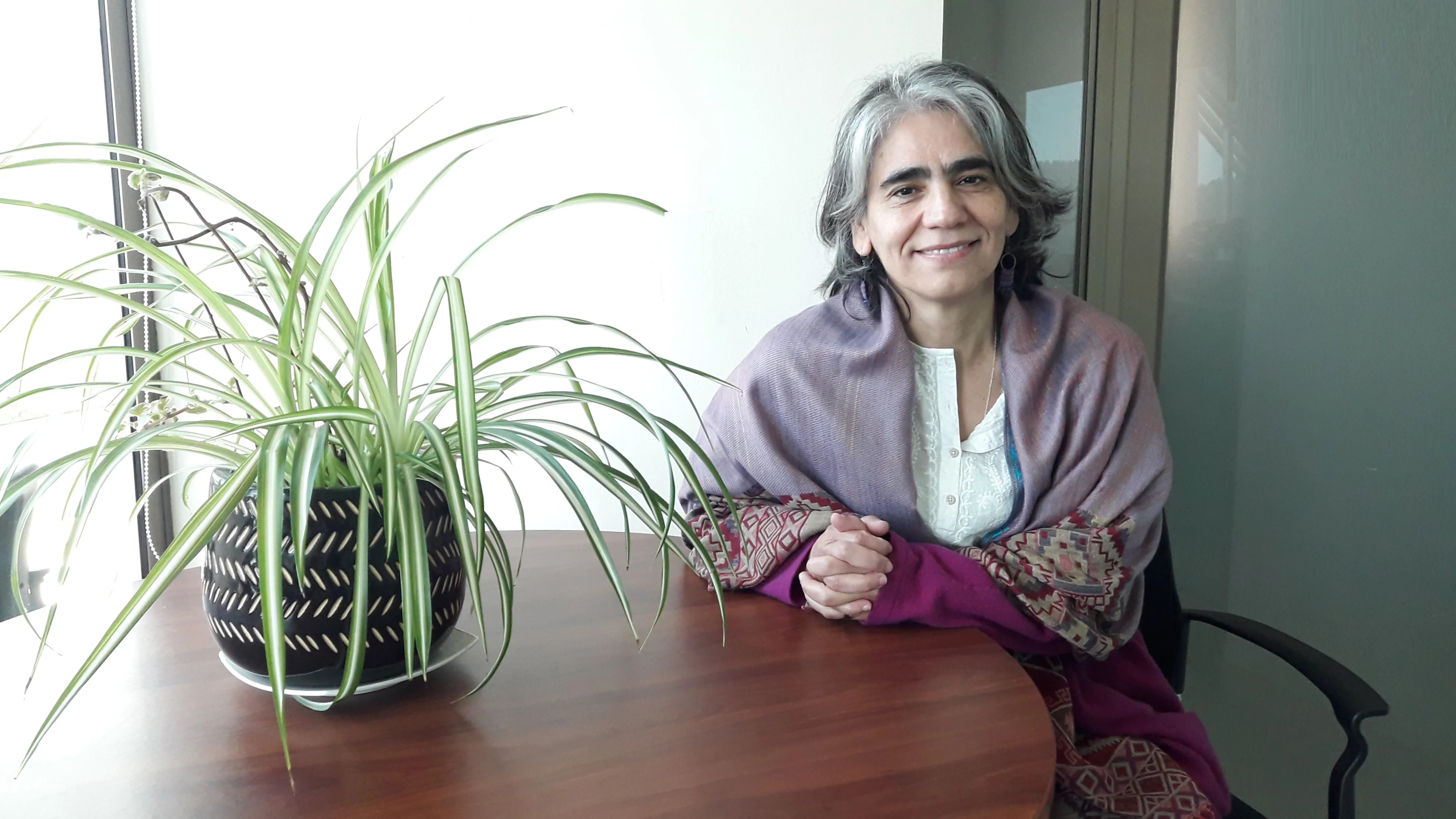 Directora de la Escuela de Medicina UV expuso en foro internacional ...